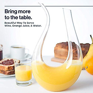 HiCoup Red Wine Decanter with Aerator - 750mL Crystal Glass Wine Carafe and Purifier for Home Bar﻿