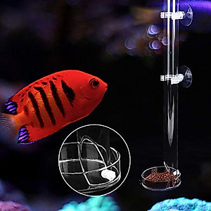 Acrylic Shrimp Feeder Tube, Ornamental Aquarium Feeding Tube Fish Food Container Set with Sucker Hook Fish Tank Aessories(40cm)