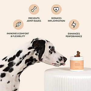 Reggie Morning Hip + Joint Supplements for Dogs | Relieves Soreness, Inflammation, Joint Pain, Mobility Issues | Made in The USA, Vet-Approved, & Ideal for All Ages, Breeds, and Sizes - 60 Soft Chews