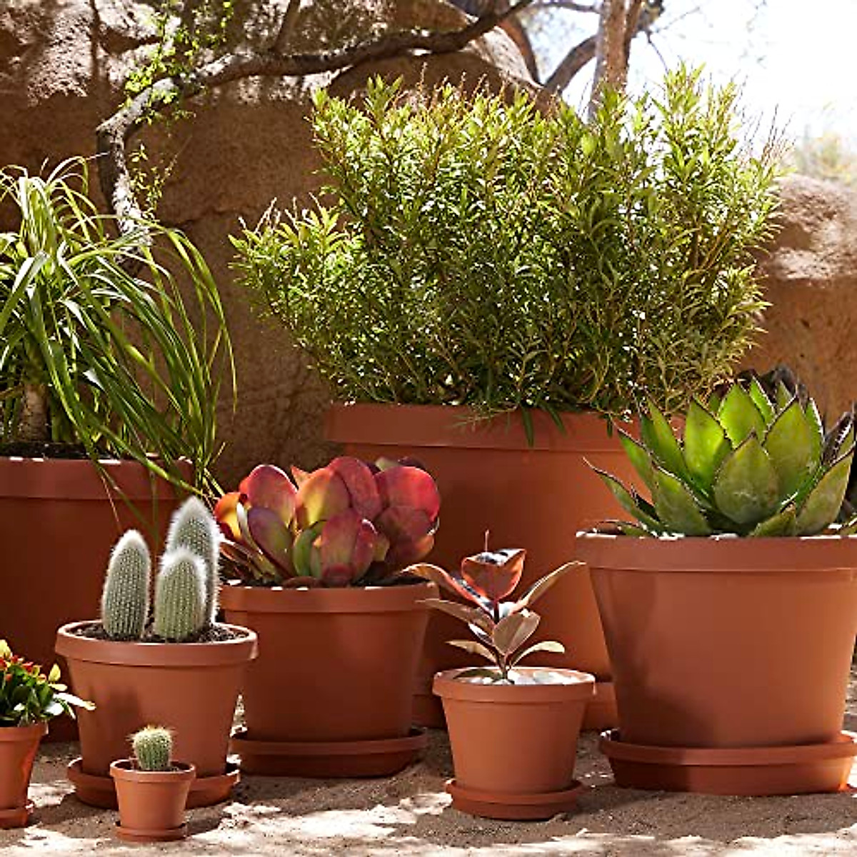 Bloem Terra Pot Round Drain Saucer: 16" - Terra Cotta - Tray for Planters 11-16", Matte Finish, Durable Resin, Ribbed Bottom, for Indoor and Outdoor Use, Gardening, Planter Not Included