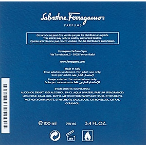 Salvatore Ferragamo F Free Time Eau De Toilette Spray for Men, 3.4 Ounce