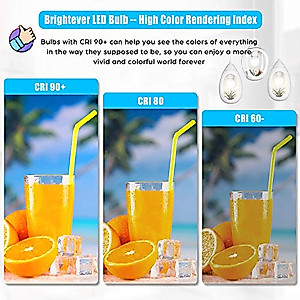 LED Light Bulbs 100W Equivalent 1500 Lumens, A19 13W 5000K Daylight White Non-Dimmable, Super Bright No Flicker Standard E26 Edison Screw Bulbs for Home, Bedroom, Office Lamp, 12-Pack