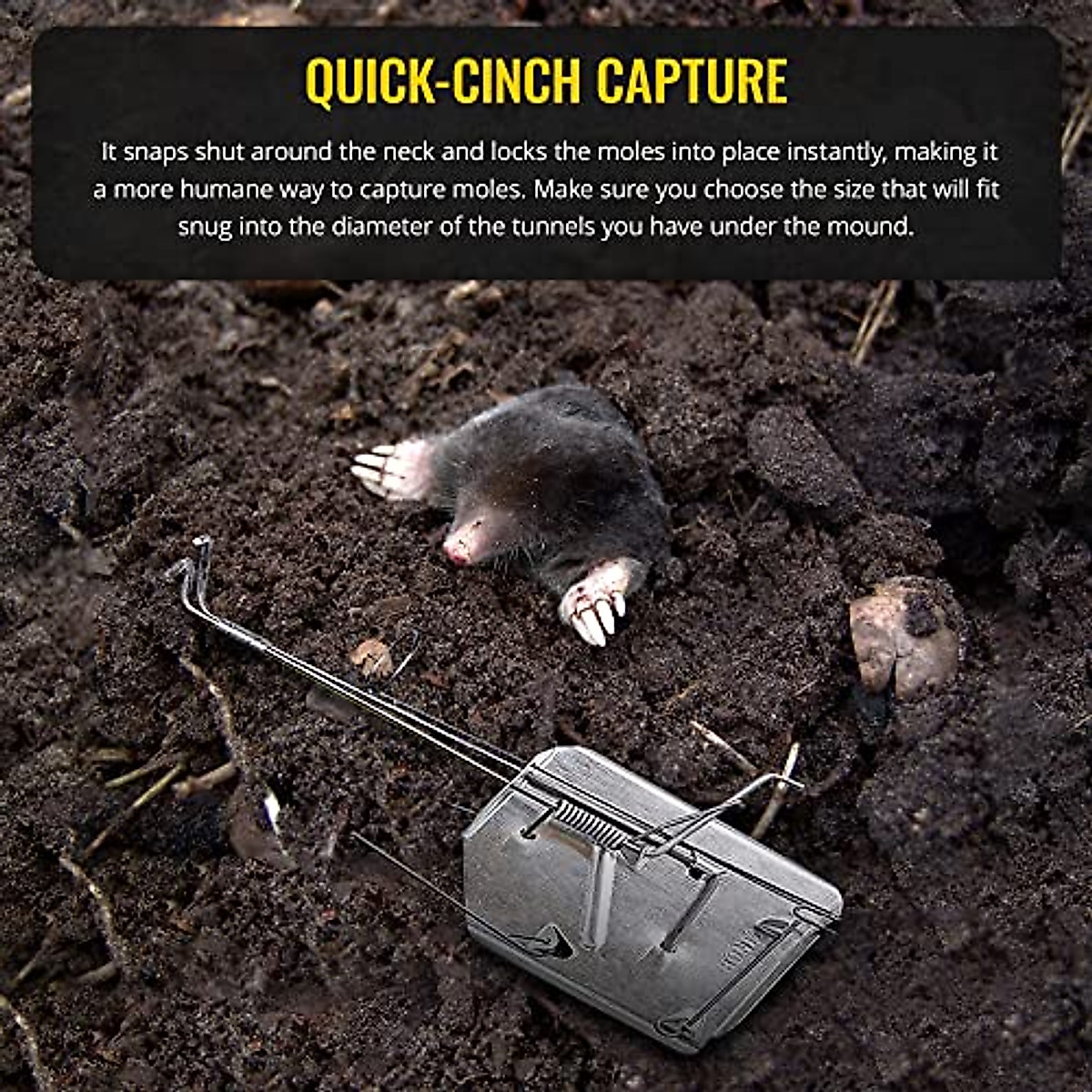 Cinch Mole Trap Deluxe Kit Large (2 Pack) Heavy Duty and Reusable, Rust and Weather Resistant, Outdoor Use, Lawns, Gardens, Sports Fields, Yards, Personal and Professional-Grade Use