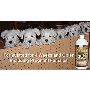 Mad About Organics Daily Oral Water Treatment 32oz