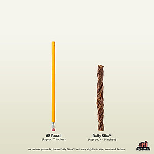 Redbarn All-Natural Bully Slims Beef Esophagus Chew Treats - Premium Grain-Free High Protein Low Fat Rawhide Alternative with No Artifical Ingredients - 4.7 oz Bag