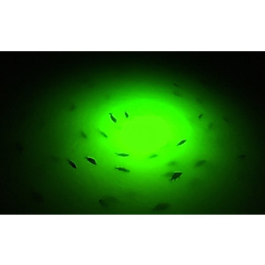 Saltwater Approved & Barnacle Burning Bulbs, Double Lamp Bright Green Underwater Fishing Light Kit, Dock & Fish Lights with 50' Cords (7,900 Lumens Each Bulb)