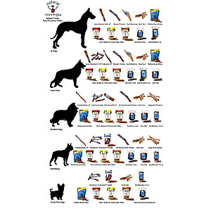 RUFF BOYZ Natural Cravings USA Chicken Breast Strip Chews for Dogs | All Natural, High Protein | Premium Quality Pet Treat | 10 oz. Bag