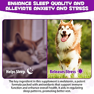 Dog Melatonin - Melatonin for Dogs - Dog Melatonin for Small Dogs - Cat Melatonin - Anxiety & Stress Relief - Promote Relaxation & Deep Sleep for Cat & Dog