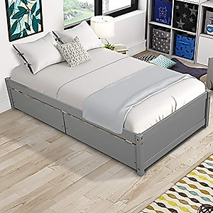 Twin Size Platform Bed with 2 Storage Drawers,Twin Bed Frame with Storage, Solid Wood Daybed with No Headboard for Kids Teen Grils Boys,Easy Assembly (Gray)