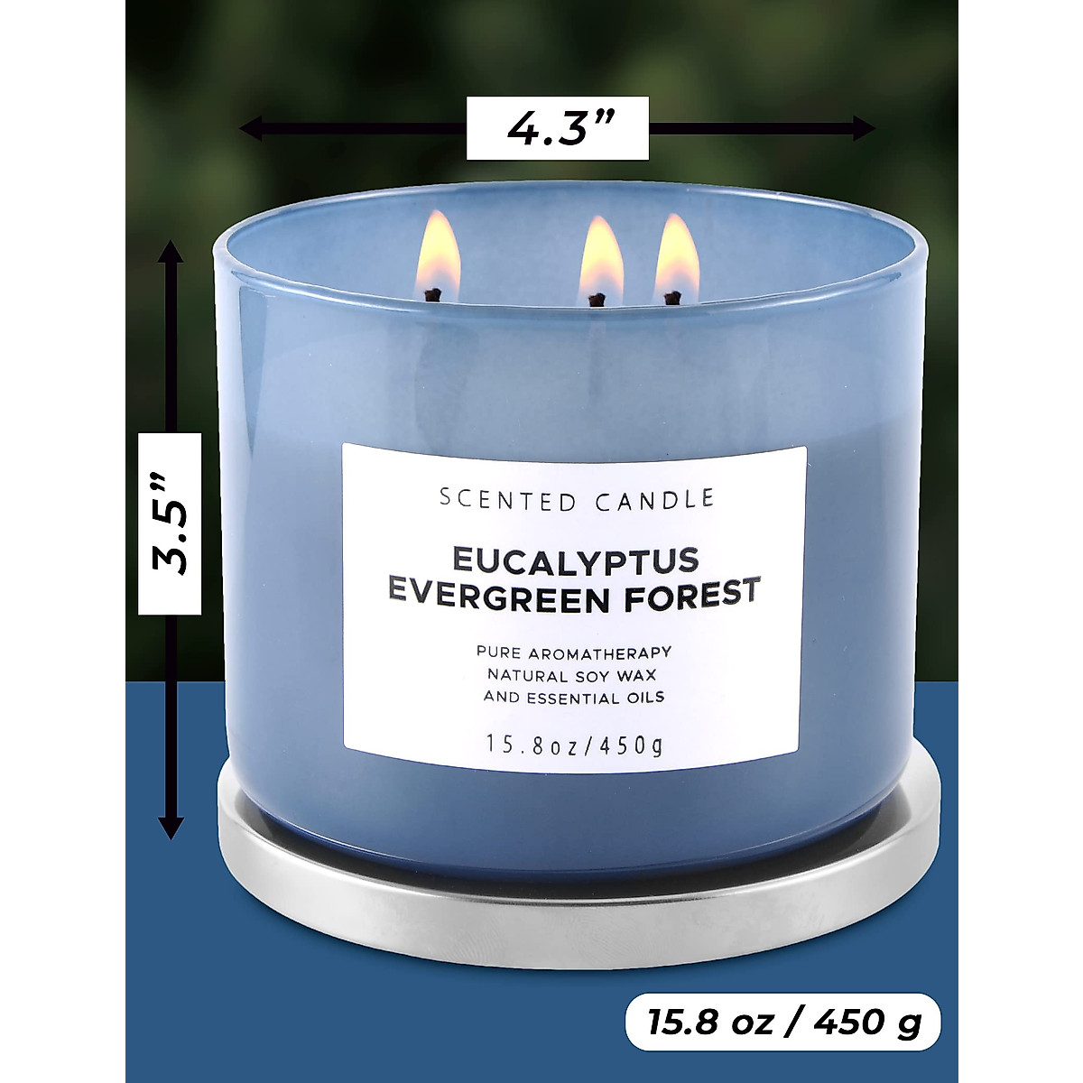 Eucalyptus Evergreen Forest Luxury 3 Wick Winter Pine Candle | Mens Candles, Scented Candles for Home | Aromatherapy Stress Relief Soy Candles 15.8 oz | Balsam Fir Woods Candles for Men & Women