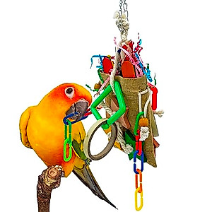GILYGI Bird Lucky Bag Toys - Bird Foraging Bag with Array of Chewable Toys for Small and Medium Parrot Cockatiels Parakeets Conures Quakers Caiques Pionus Senegals
