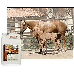 UltraCruz - sc-395351 Flax Oil Blend Supplement for Horses and Livestock, 1 Gallon