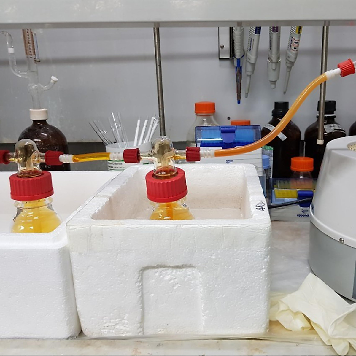 ALWSCI Lab Gas Washing Bottle Glass 1000mL Graduated Lab Buffer Bottle, Drechsel Head GL45 with Filter disc Adjustable Immersion, 2 threads GL14 PBT Red Screw Cap, 1set