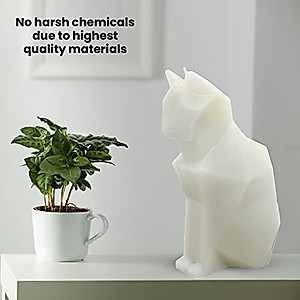 Wick Works Loki Cat Skeleton Candle | Reveal Polished Steel Frame | 7” H | Longest Burn Time! | Beautiful Gift Box | Home or Office Decor| Unique Gifts for Cat, Animal, Art Lovers (Black, Cedar)