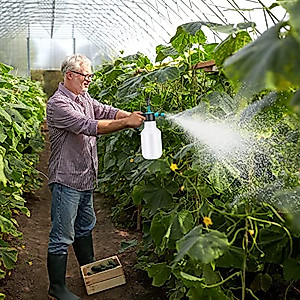 Itisll Manual Garden Sprayer Hand Lawn Pressure Pump Sprayer Safety Valve Adjustable Brass Nozzle with Extended Spray Wand, Durable Polyethylene Rod 0.5 Gal