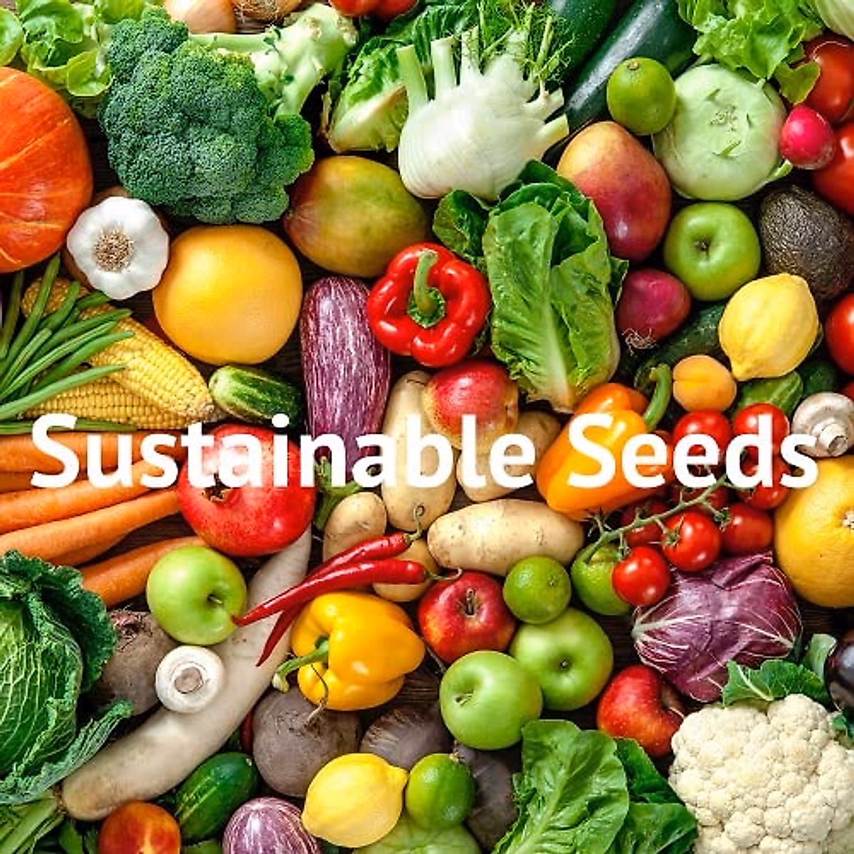 David's Garden Seeds Pumpkin Connecticut Field 8567 (Orange) 50 Non-GMO, Heirloom Seeds