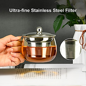 PARACITY Tea Cup with Infuser and lid, Glass Tea Cup of Heat Resistant Glass, 13oz Tea Mug, Clear Teacup for Loose Tea, Blooming Tea, Tea Bag, Tea Cup with Strainer for Family Daily