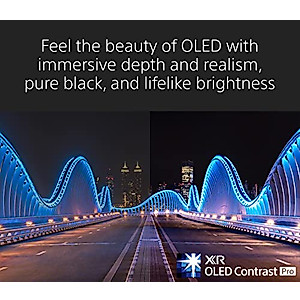 Sony XR77A80K 77" 4K Bravia XR OLED High Definition Resolution Smart TV with an Additional 1 Year Coverage by Epic Protect (2022)