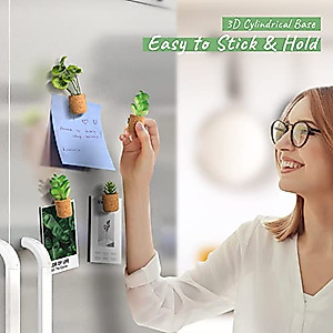 JUSTDOLIFE Plant Fridge Magnets-Mini Succulent Magnets Artificial Plants Refrigerator Magnets Potted Succulent Plants Magnet Stickers Cute for Magnet Boards Fridge Home Office Decor