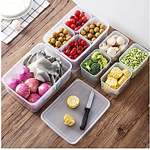 KNC Food Storage Containers with Lids Airtight,Reusable Fresh Produce Fruit Storage Organizer, Refrigerator Food Fresh Box with 4 detachable small boxes for Storing Fish, Meat, Vegetables,Grain
