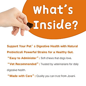 jovani Probiotics for Dogs - Digestive Enzymes for Gut Flora, Digestive Health, Diarrhea & Bowel Support - Dog Supplement Soft Chew for Pet Immune System - Chicken Flavor - Contains 200 Soft Chews