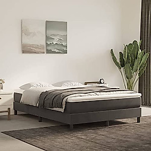 vidaXL Box Spring Bed Frame Home Indoor Bedroom Bed Accessory Wooden Upholstered Double Bed Base Furniture Dark Gray 59.8"x79.9" Queen Velvet