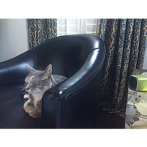 Pet Acoustics Feline Extra Calm Music SD Card