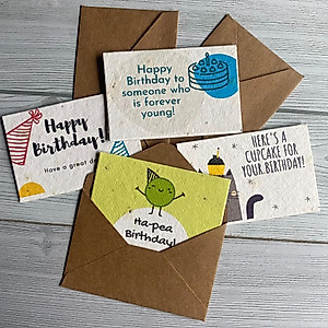Habitage Seed Paper Birthday Greeting Cards - Set of 12 Eco-friendly Plantable Cards with Envelopes and Gift box | Variety Pack | Recycled Paper Embedded with Holy Basil seeds