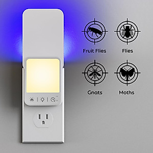 Sticky Card Refill Replacement Glue Cards for Flying Insect Trap Indoor-12pack (No Device)