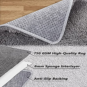 CAROMIO Soft Shaggy Rugs Plush Indoor Modern Faux Fur Area Rugs for Bedroom Luxury Fluffy Carpets Non-Slip Nursery Rugs Shag Rug Home Decor for Living Room Floor Kids Rooms, Light Grey, 4' x 6'
