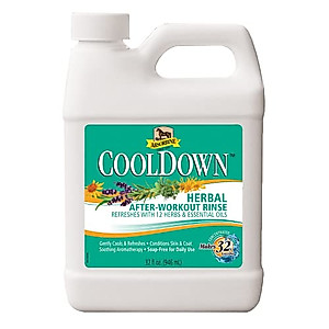 Absorbine CoolDown Herbal After Workout Rinse, 12 Herbs & Essential Oils, Soap-Free Formula, Concentrate Makes 32 Gallons