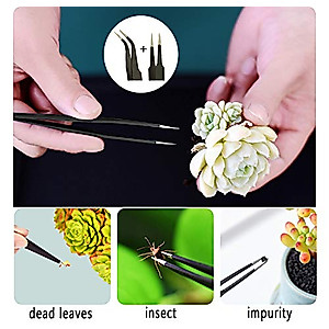 Wobodan 12 Pcs Succulent Tools Set Mini Transplanting Garden Tools Kit for Indoor Gardening Flower Pot Cactus Care