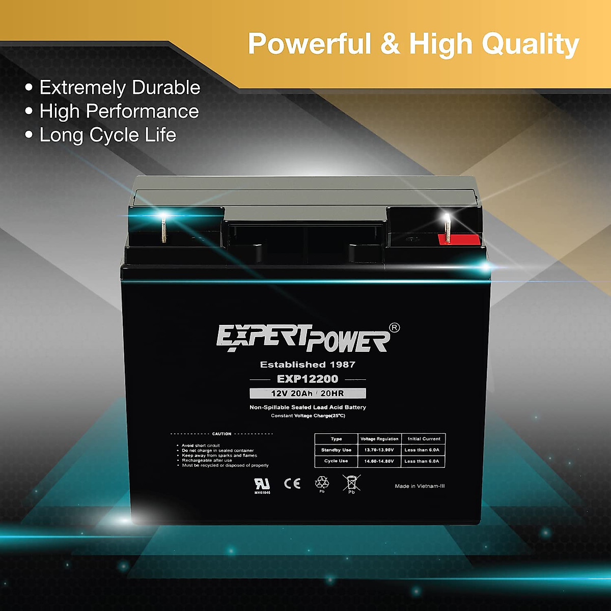 (2 Pack) ExpertPower 12 Volt 20 Ah Rechargeable SLA Battery [EXP12200]
