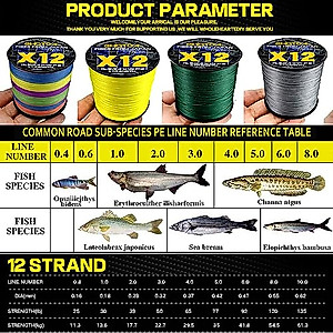 PE Braided Fishing Line High -prescision Tensioning Weaving Fishing Line 25-120lb Carp Saltwater Fishing Tackle 500m