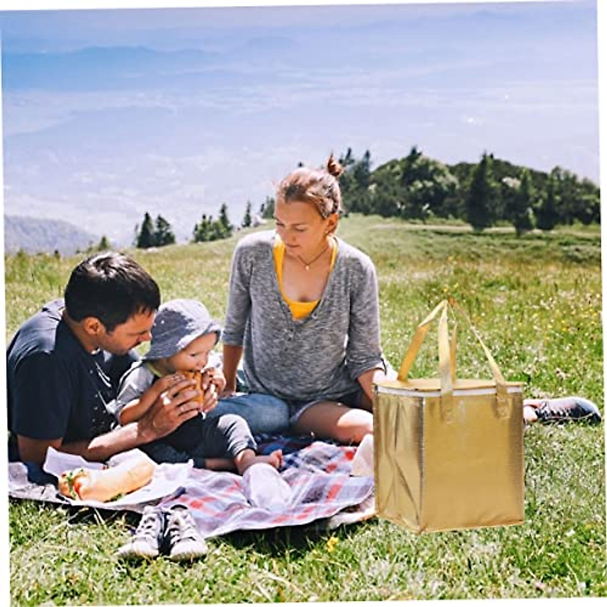 LIFKICH Baking Tote Car Tote Collapsible Grocery Tote Pizza Warmer Bag Food Delivery Bag Commercial Catering Bag Insulated Grocery Bag Heat Insulated Bag Thermal Bag Convenient Cake Bag