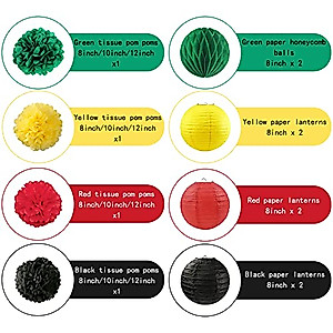 Black History Month Decorations Black History Month Celebration Decorations Black Red Green Yellow Tissue Pom Poms Lanterns Honeycomb Balls African American Juneteenth Decorations by HappyField