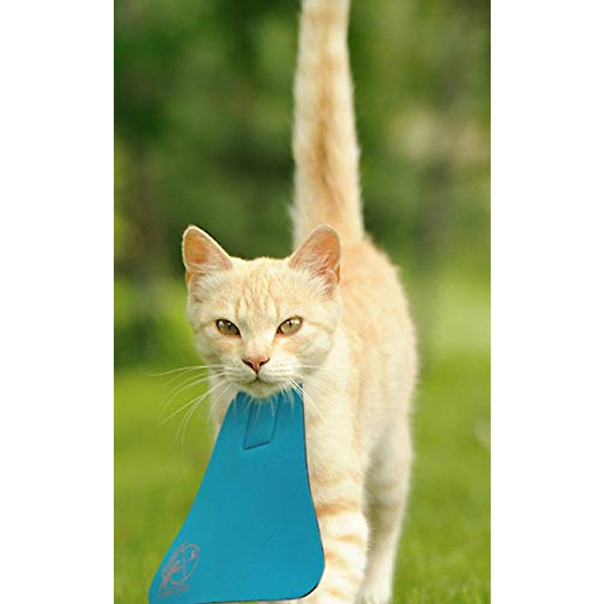 CatBib - Saves Birds, Protects Cats (Small, Turquoise)