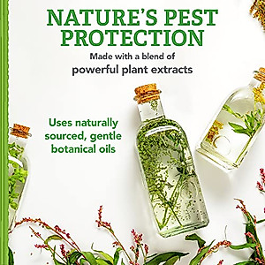 Natural Care Flea and Tick Spray for Dogs and Cats | Flea Treatment for Dogs and Cats | Flea Killer with Certified Natural Oils | 14 Ounces