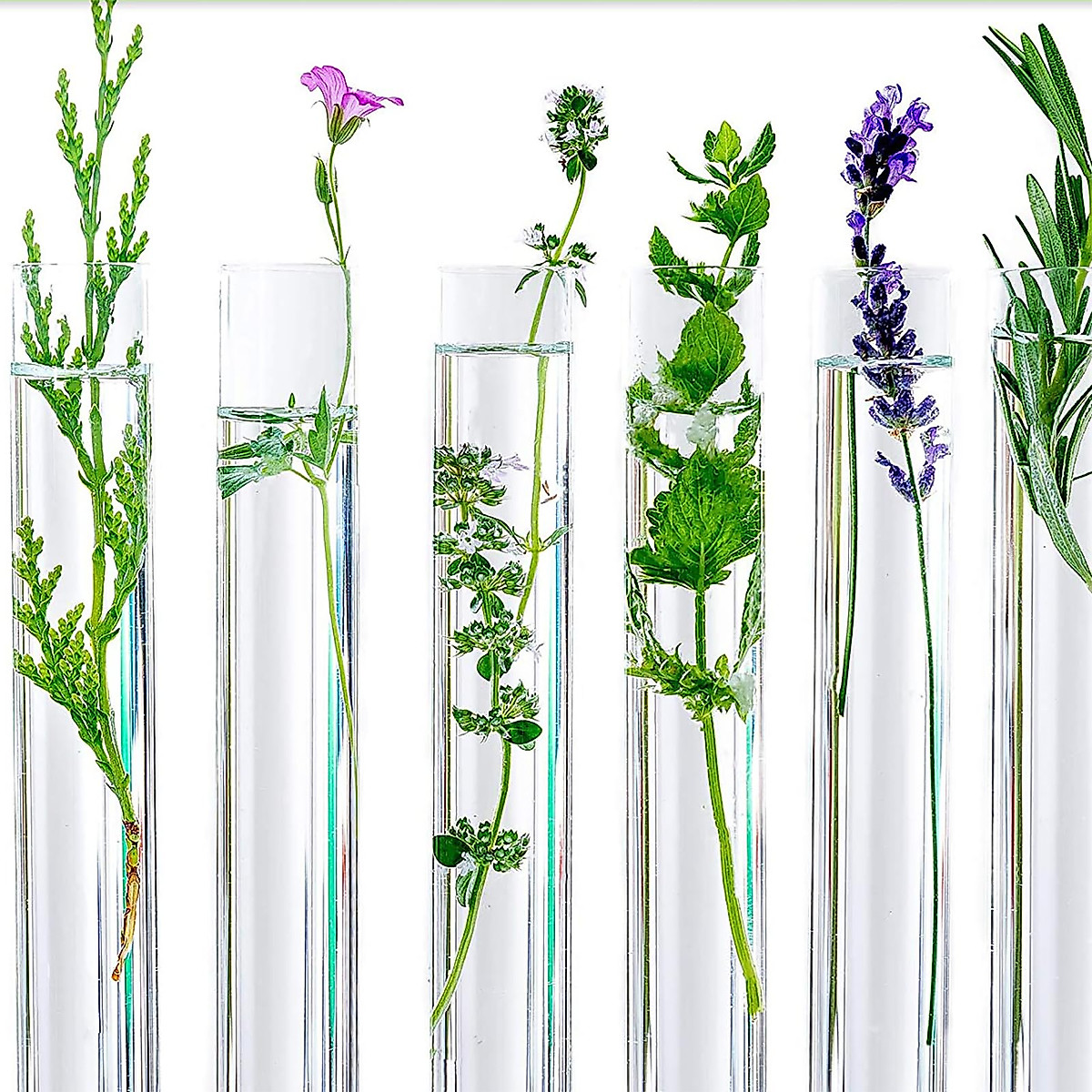 Test Tubes, 15Pcs 3ml Plastic Tube, Propagation Tubes, Test Tubes with Lids, Plastic Test Tubes, Test Tube, Test Tubes for Plants, Plastic Tubes with Caps, Clear Plastic Test Tubes with Cork Stoppers