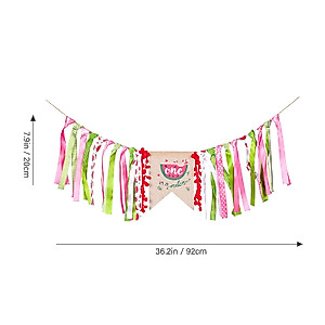 NUOBESTY Baby First Birthday Decoration Kit 1st Birthday Watermelon Banner Crown Cake Topper Party Backdrop Supplies for Girls Boys Kids Baby Shower