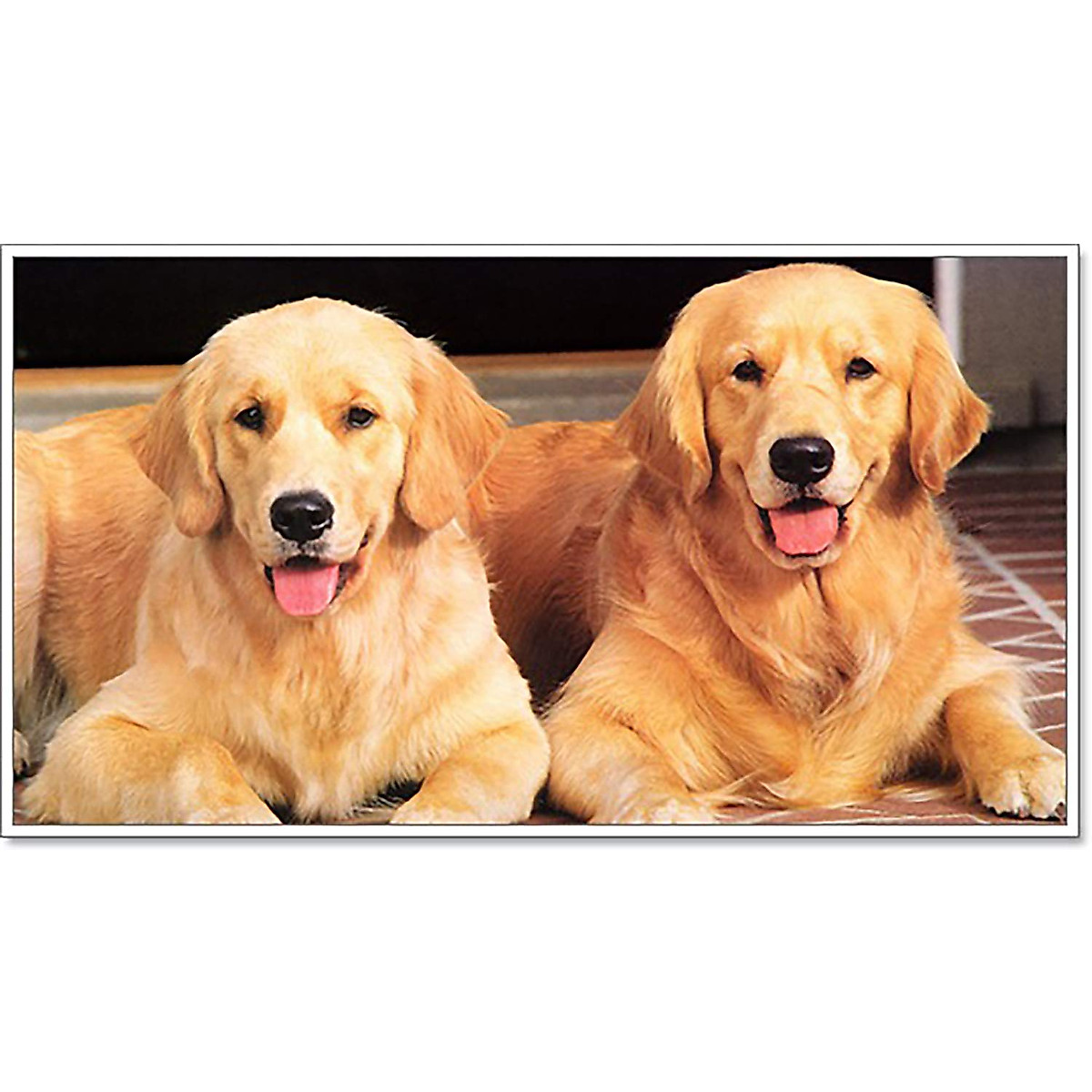 X2 Pcs(100ml) Dog Multivitamin Daily Essential Dog Food Vitamins & Minerals Omega3, Helps Support Healthy, More Fat, Digestion, Skin, Coat, Allergy Immune Supplement Nourished Blood & Eye