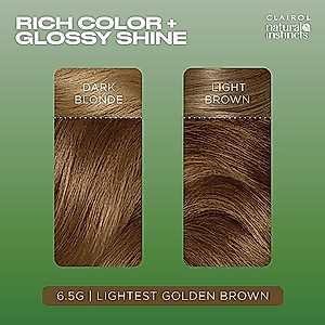 Clairol Natural Instincts Demi-Permanent Hair Dye, 6.5G Lightest Golden Brown Hair Color, Pack of 3