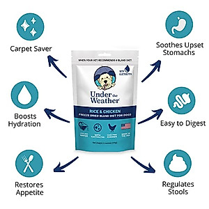 Under the Weather Bland Diet for Dogs | Easy to Digest for Sick Dogs | Contains Electrolytes, Gluten-Free, All Natural | Freeze-Dried 100% Human Grade Meats | 1 Pack - Chicken, Rice - 6oz