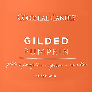 Colonial Candle Gilded Pumpkin Scented Jar Candle, Pop of Color Collection, 3 Wick, Orange, 14.5 oz - Up to 60 Hours Burn