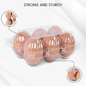 HAKSEN 100PCS Plastic Egg Cartons, Clear Egg Holders with Labels Egg Cartons Cheap Bulk for Home Ranch Chicken Farm Market Display, 6-cavity