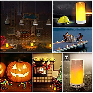 LED Flame Effect Light, Fireplace Light with Remote & Timer, USB Rechargeable Battery Operated Flame Lamp, Waterproof Dimmable 4 Modes Flameless Candle Light for Room Party Bar Decor 2 PCS