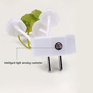 Sensor Led Night Light, Color Changing Plug-in LED Mushroom & Lotus Dream Bed Lamp Nursery Baby Bed Flower Lamp Cute Mushroom Night Light Flower Wall Lamp with Dusk to Dawn Sensor Wall NightLight