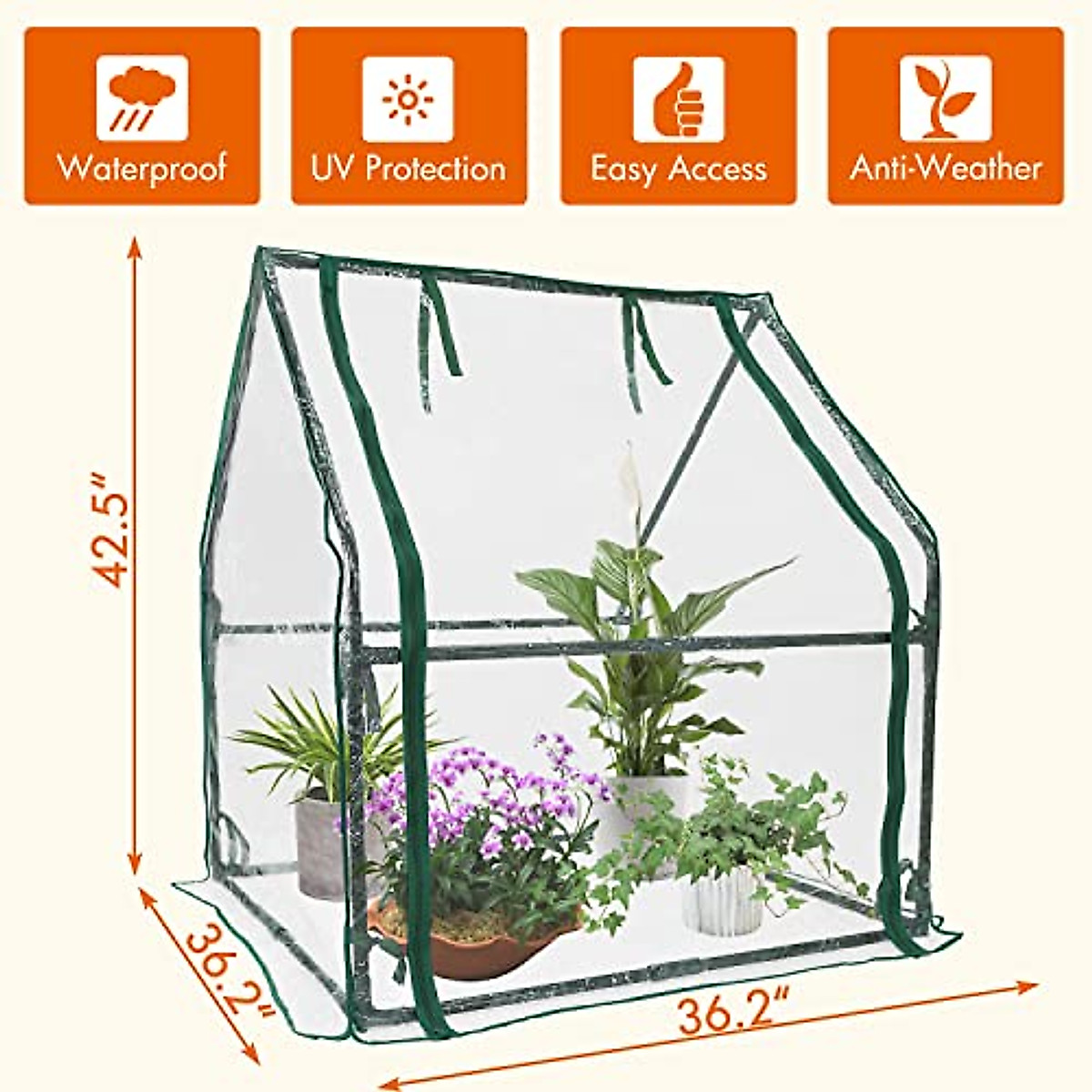 Gardzen Mini Greenhouse Heavy Duty Portable Green House, Clear Tent Indoor or Outdoor for Plants 36.2”(L) x36.2”(W) x42.5”(H)