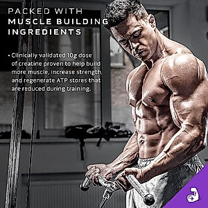 MuscleTech Mass Gainer Mass-Tech Extreme 2000, Muscle Builder Whey Protein Powder, Protein + Creatine + Carbs, Max-Protein Weight Gainer for Women & Men, Vanilla Milkshake, 6lbs (Packaging May Vary)