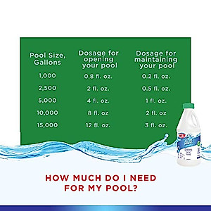 HTH 67037 Algae Guard Swimming Pool Algaecide Cleanser, 38 fl oz